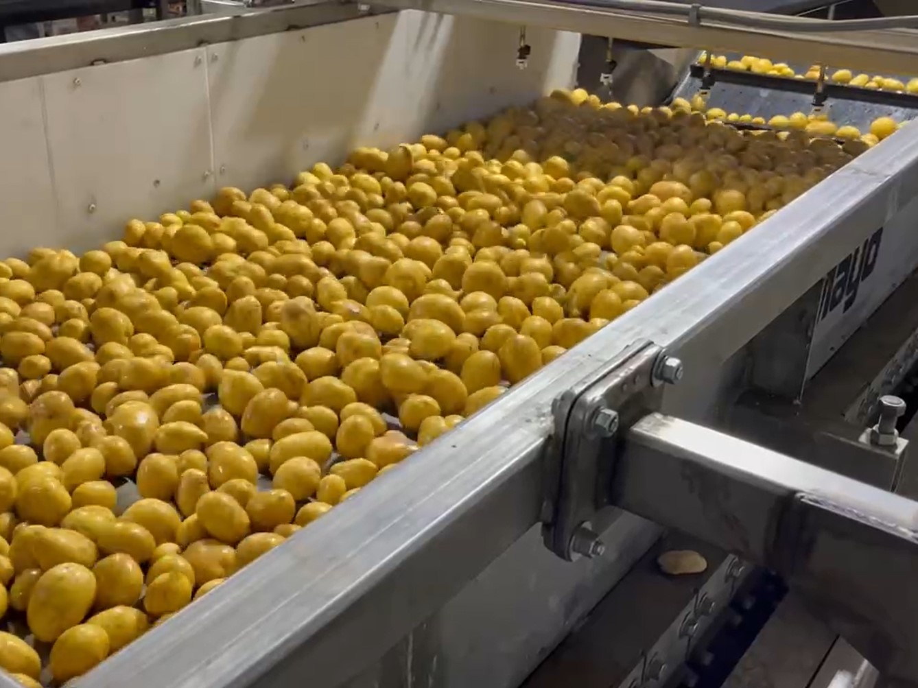 Felt Roller Drying Table - Mayo