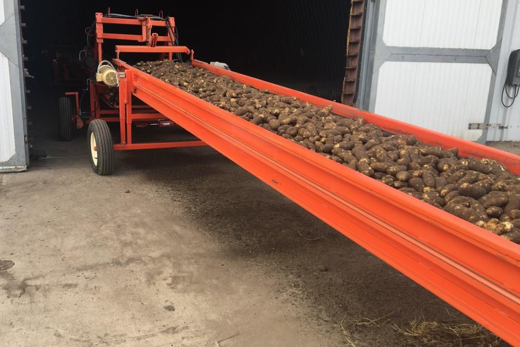 PORTABLE CONVEYORS - Mayo