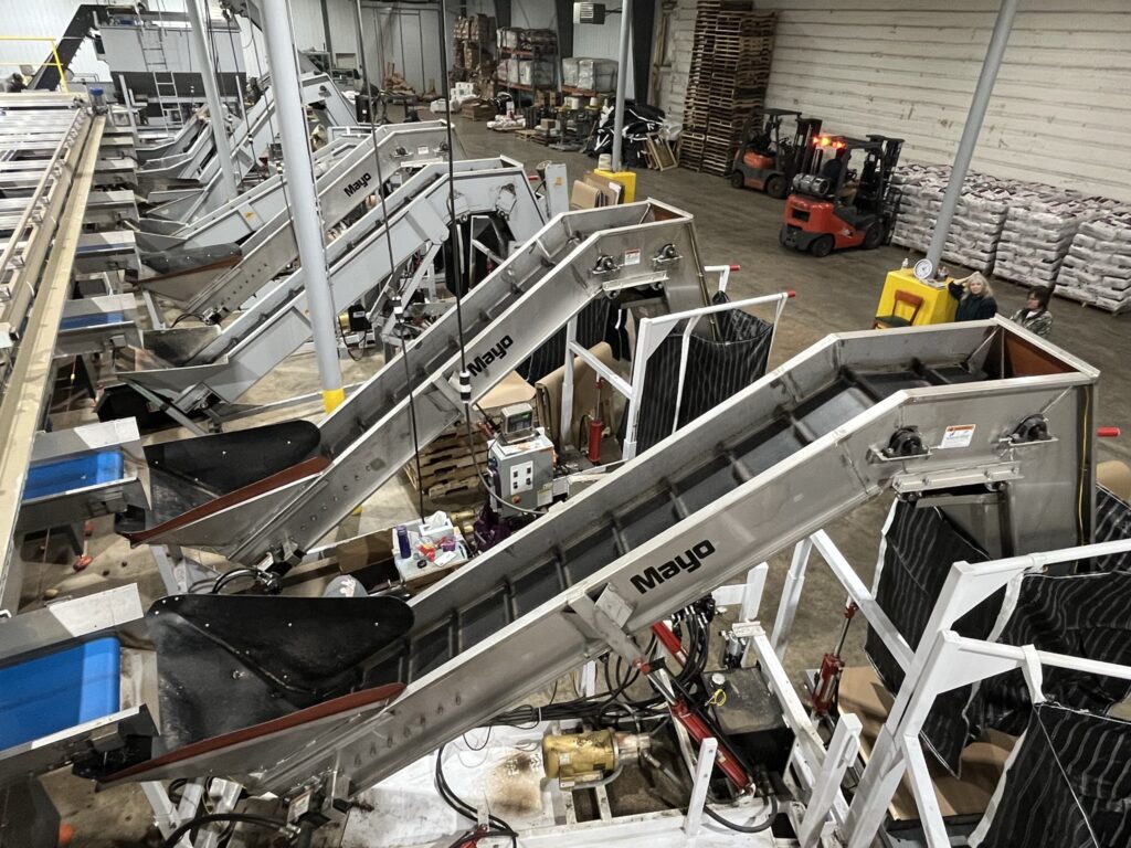 TOTE BAG AND BIN FILLERSINGLE AND DOUBLE/SWIVEL - Mayo