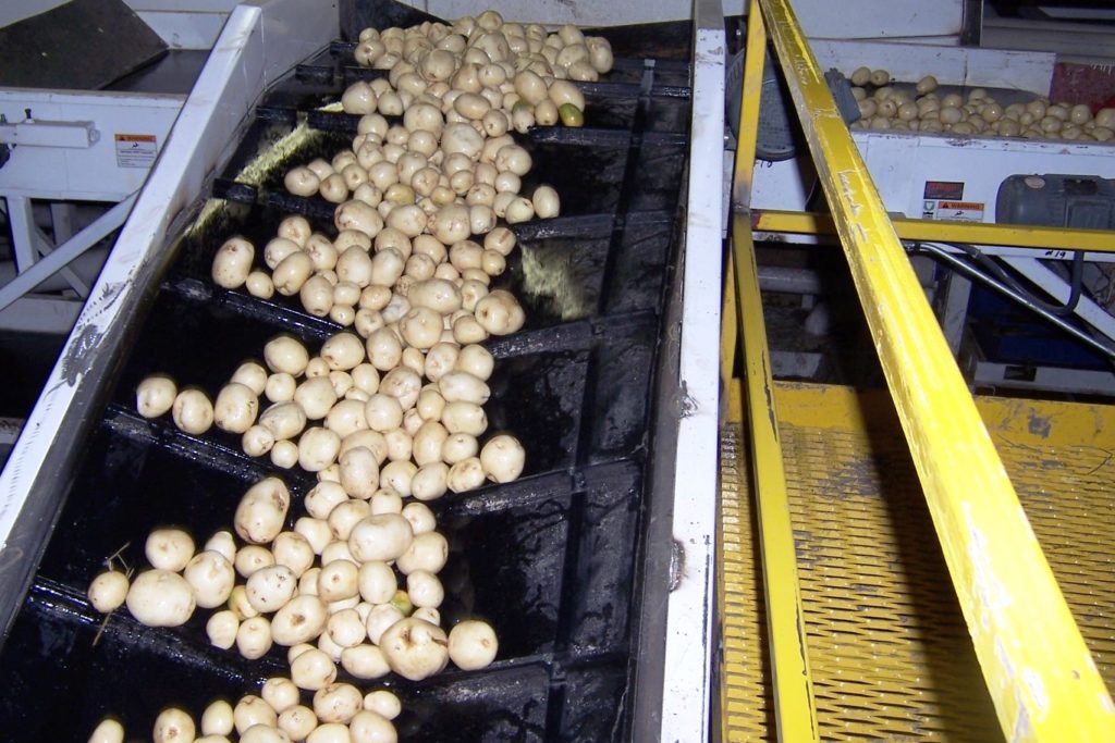 ELEVATING CONVEYOR - Mayo