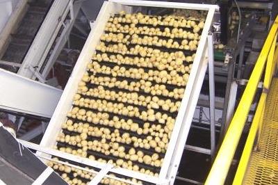 ELEVATING CONVEYOR - Mayo