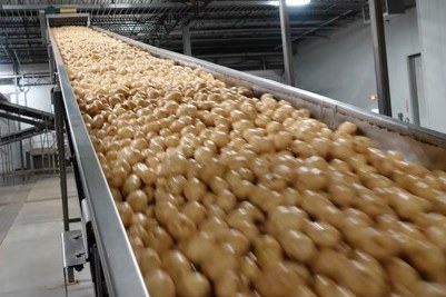 ELEVATING CONVEYOR - Mayo