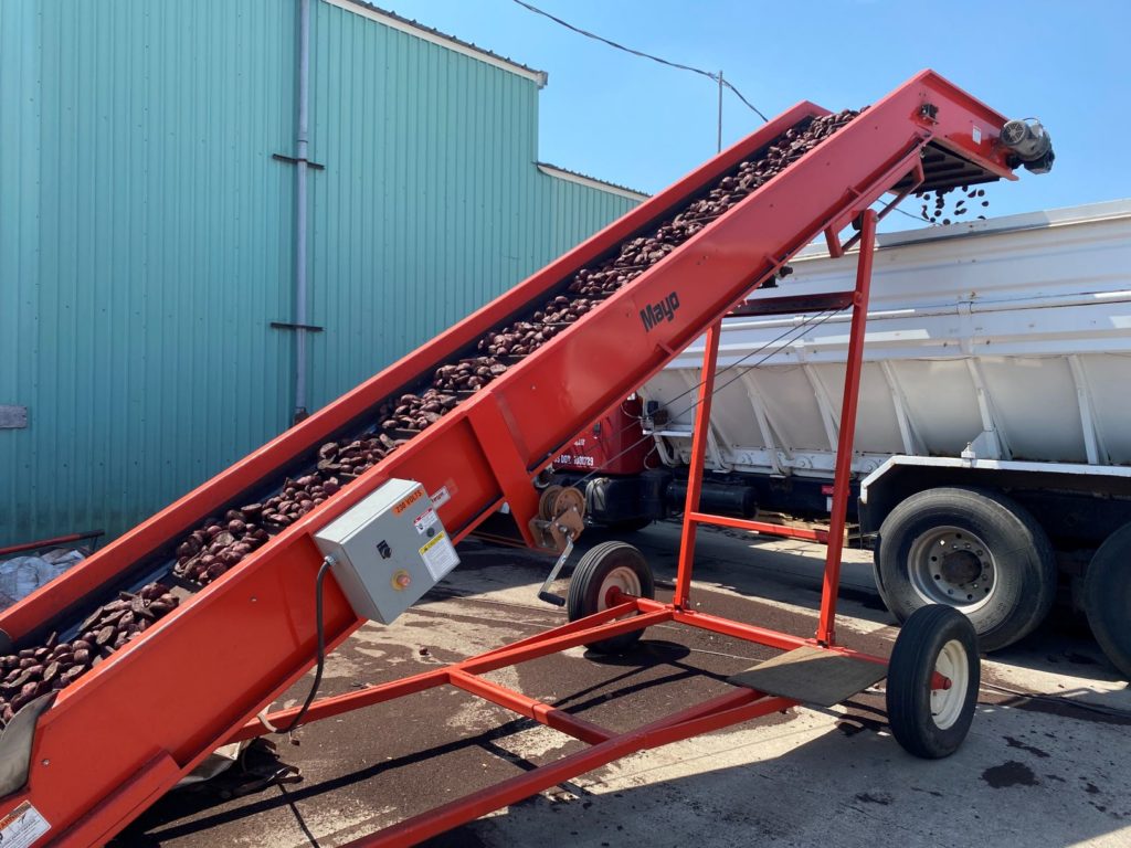 PORTABLE ELEVATING CONVEYOR - Mayo