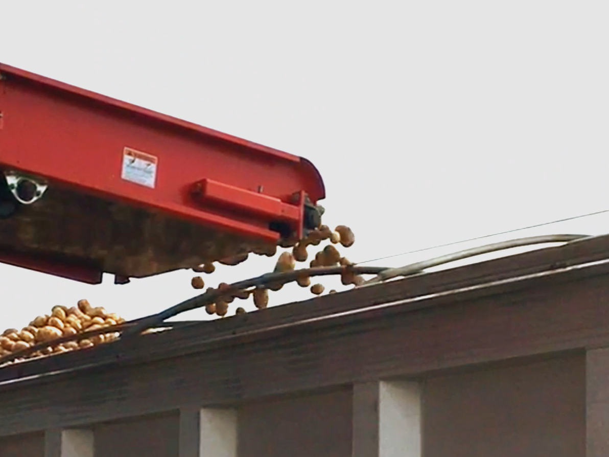 TELESCOPING LOADER - Mayo