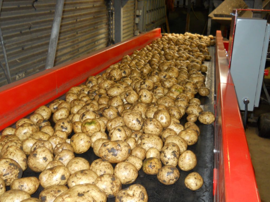 SCALE CONVEYOR - Mayo