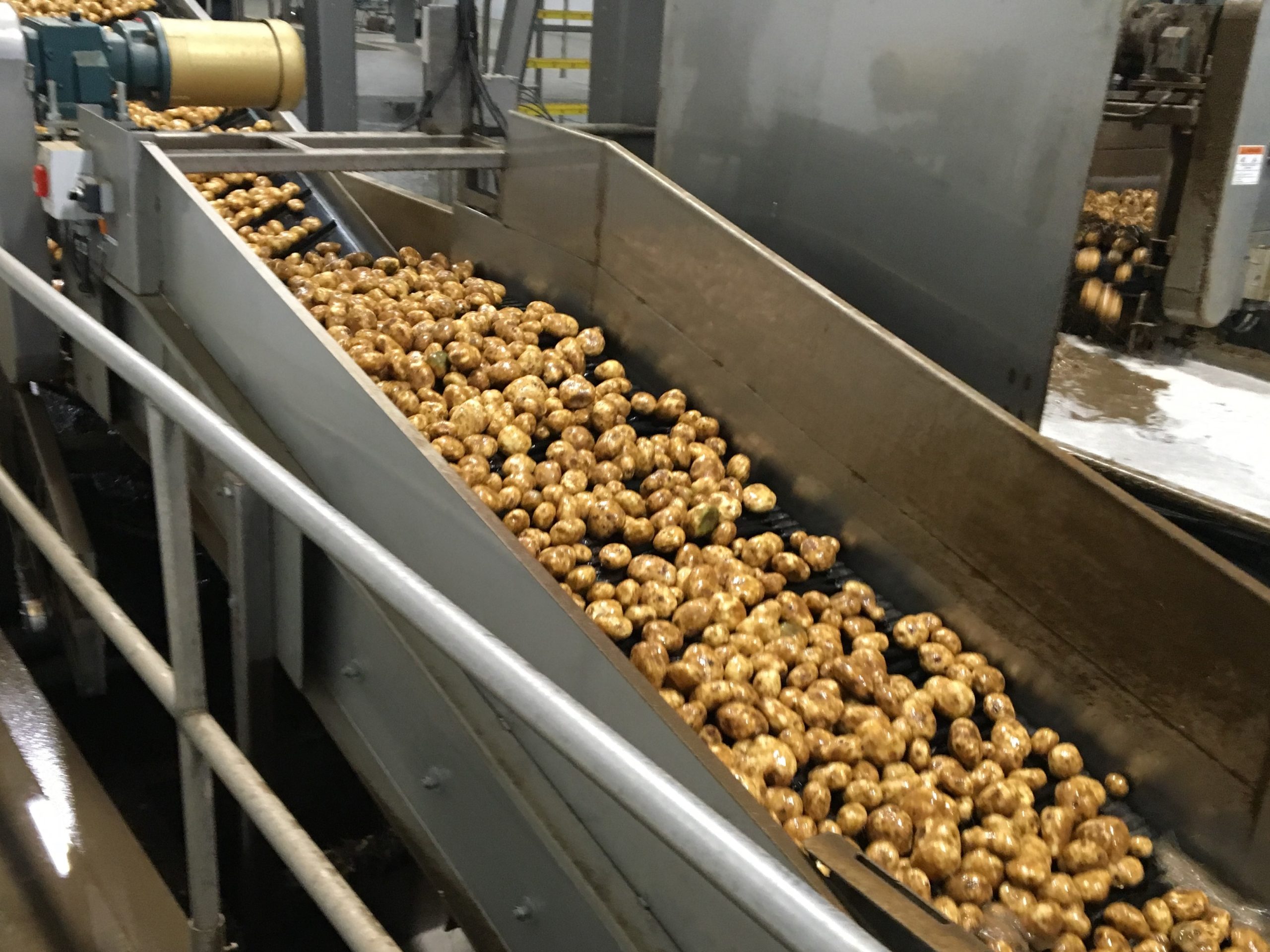 ROCK AND DEBRIS FLUME - Mayo