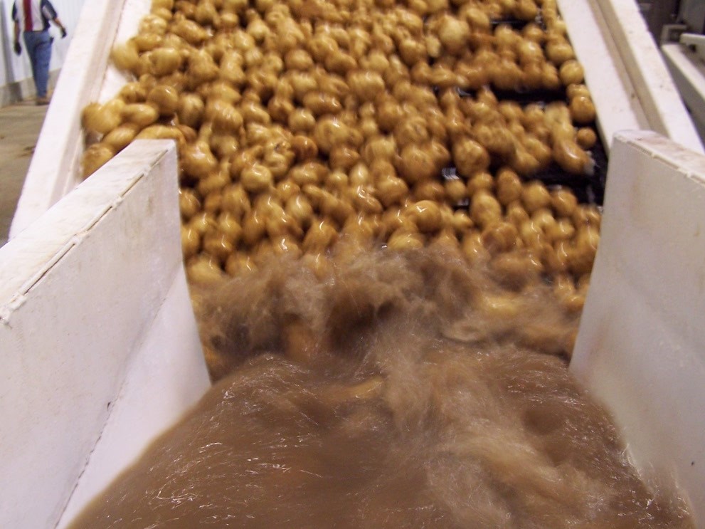 ROCK AND DEBRIS FLUME - Mayo