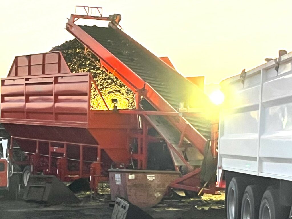 What's Happening ? - Mayo