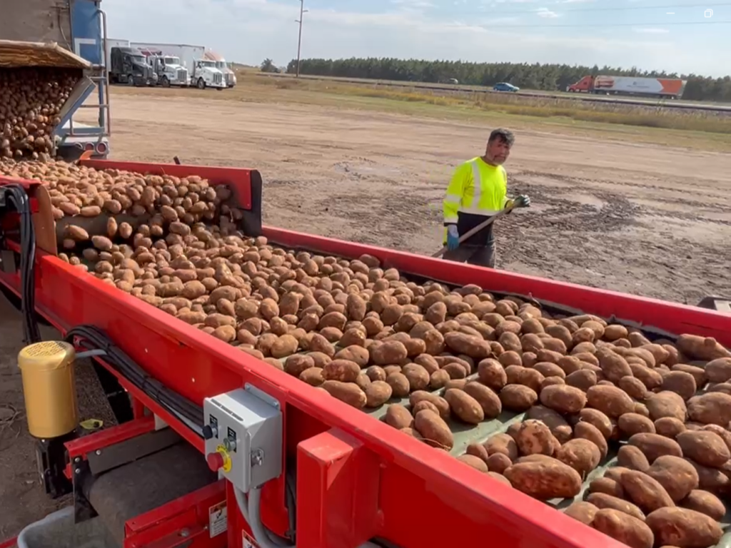SAMPLE TAKER CONVEYOR - Mayo